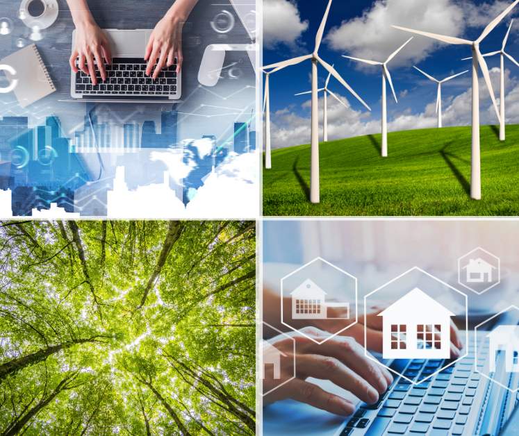 Singer Capital Markets